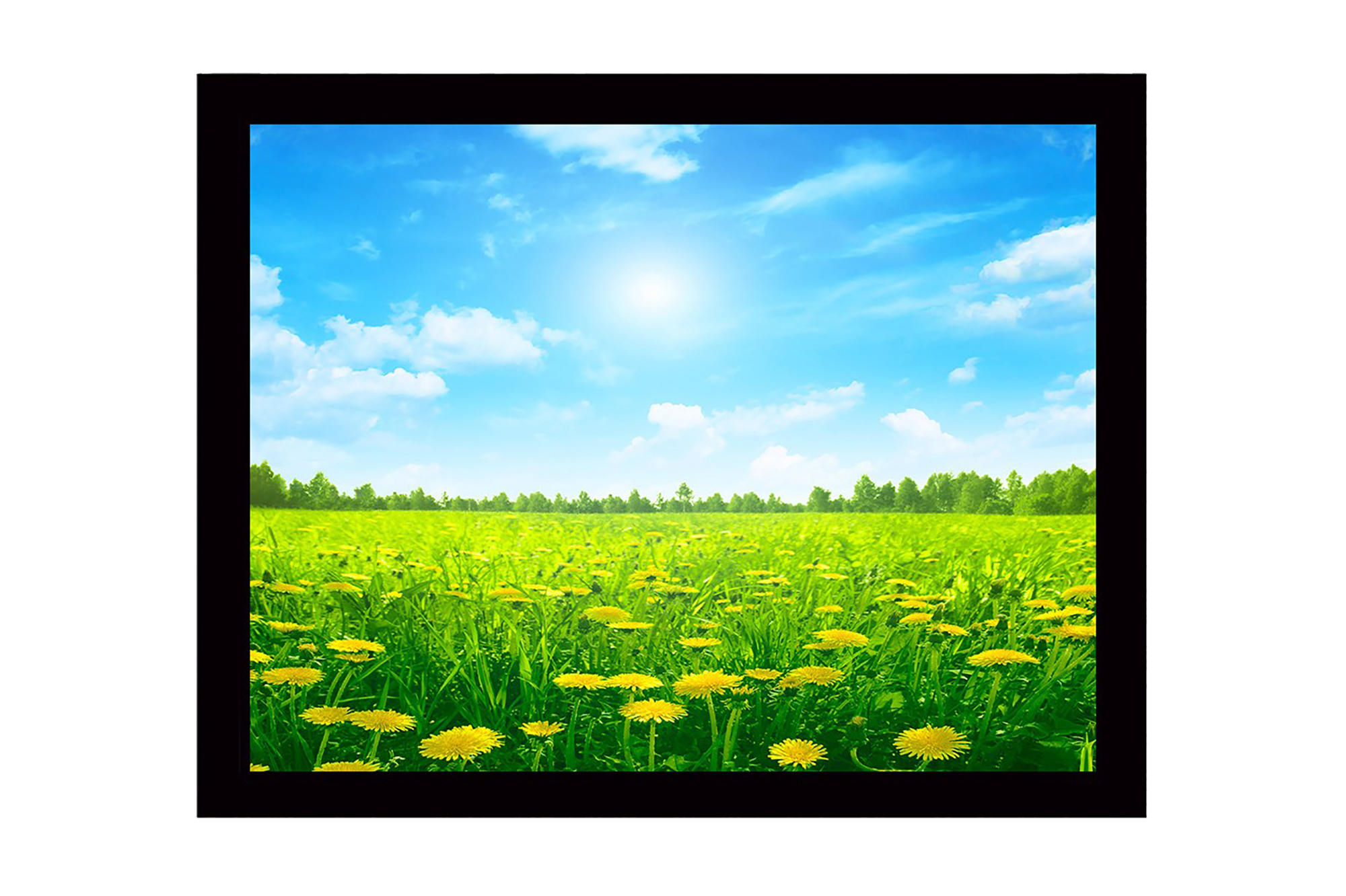 Innrammet lerretsbilde i tre - 41x56 cm - Solrik eng med blomstrende ...