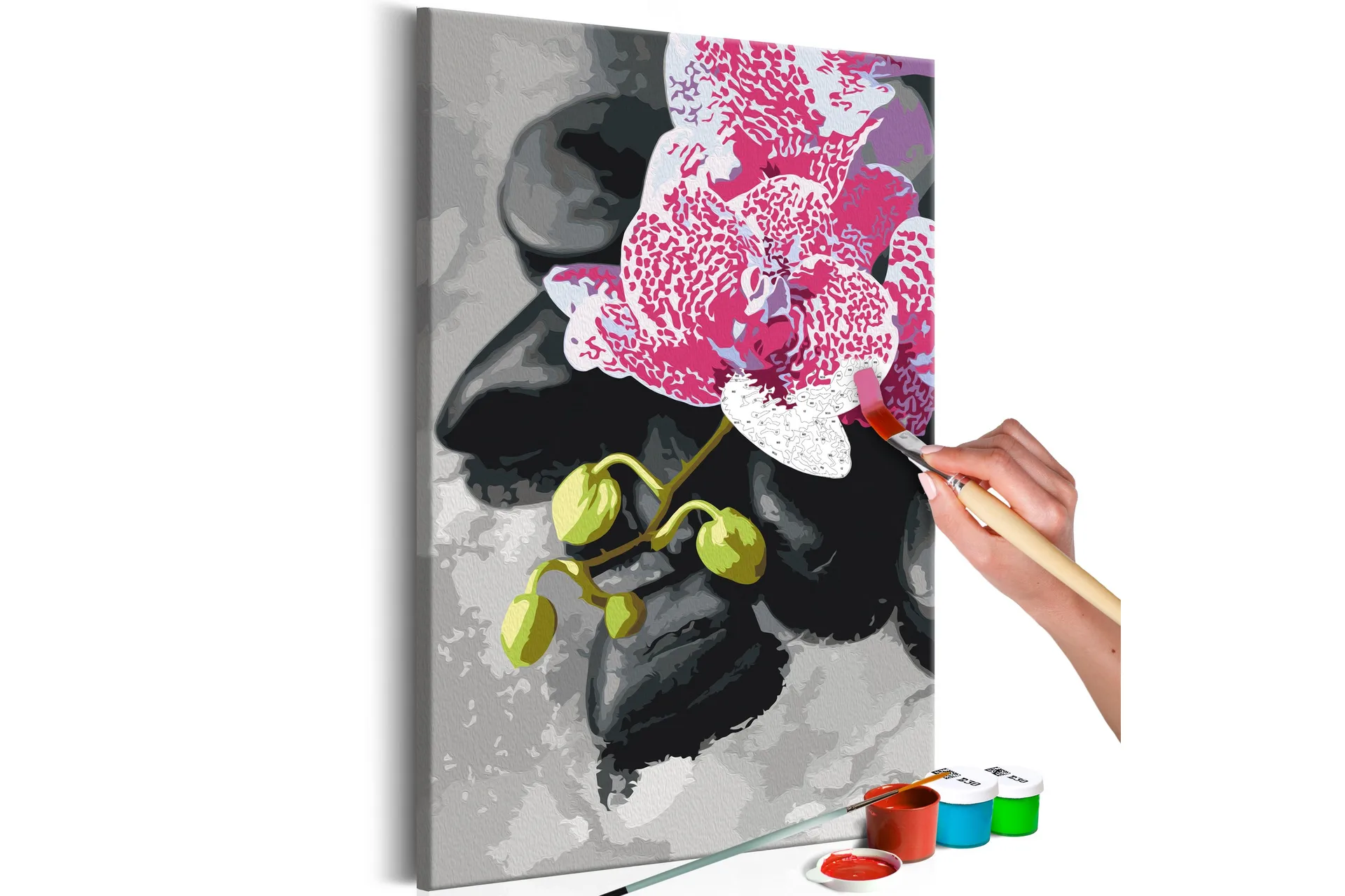 Gjør-det-selv-maleri Rosa orkide 40x60 cm Artgeist sp. z o. o ...